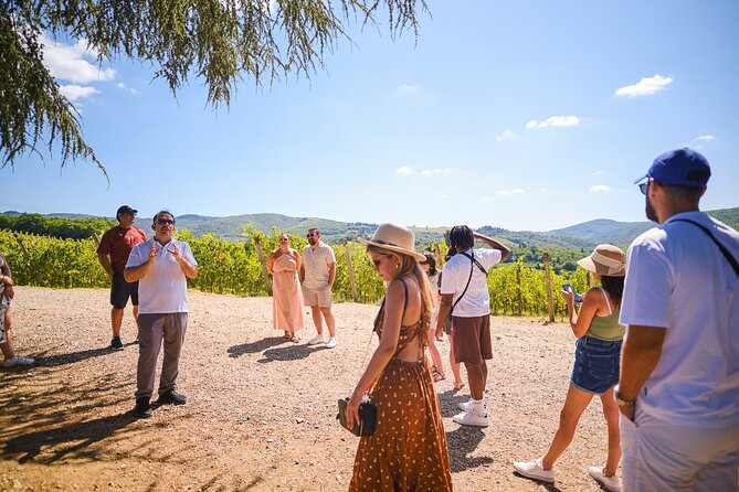 Full Day Private Tour to Chianti Wine Region From Florence - Wine Tastings and Guided Tours of Chianti Villages