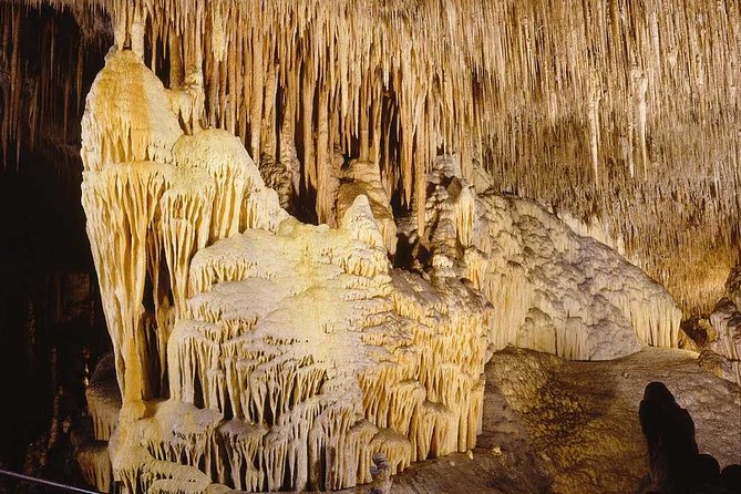 Full Day Tour to Caves of Drach and Hams With Porto Cristo and Pearl Factory - Tips for a Great Tour Experience