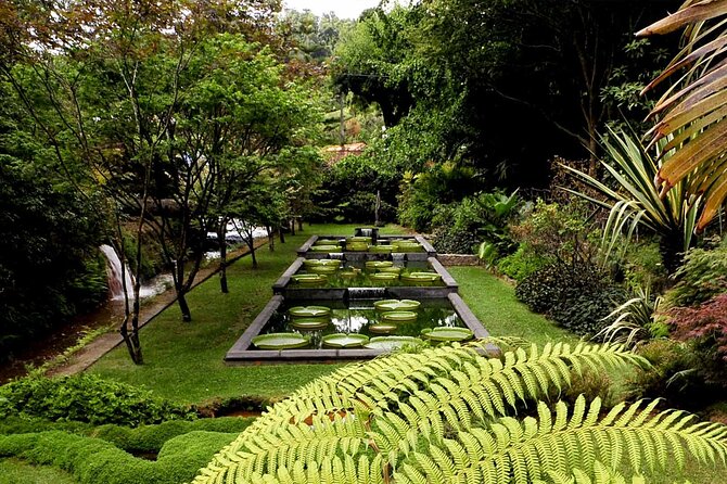 Furnas and Terra Nostra Botanic Park Guided Tour W/ Hotsprings - Traveler Feedback and Overall Rating