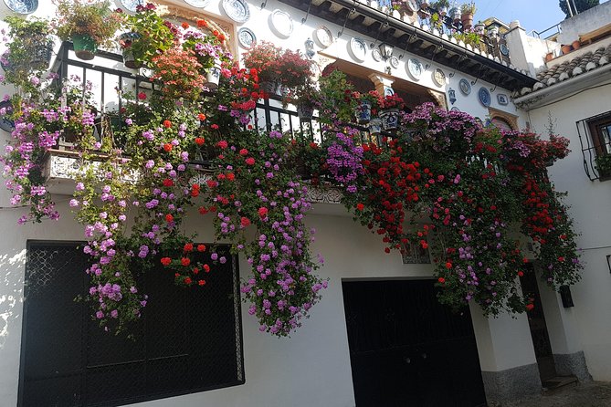 Granada Segway Tour to Albaicin and Sacromonte - Traveler Reviews and Experiences