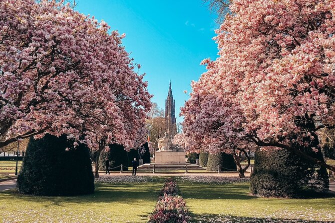 Guided Walking Tour in Strasbourg Review - Discovering Strasbourgs Vibrant Culture