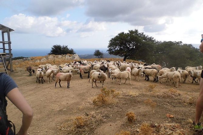 Half-Day Georgioupolis Off-Road Adventure With Meal - Discovering Historical Ruins