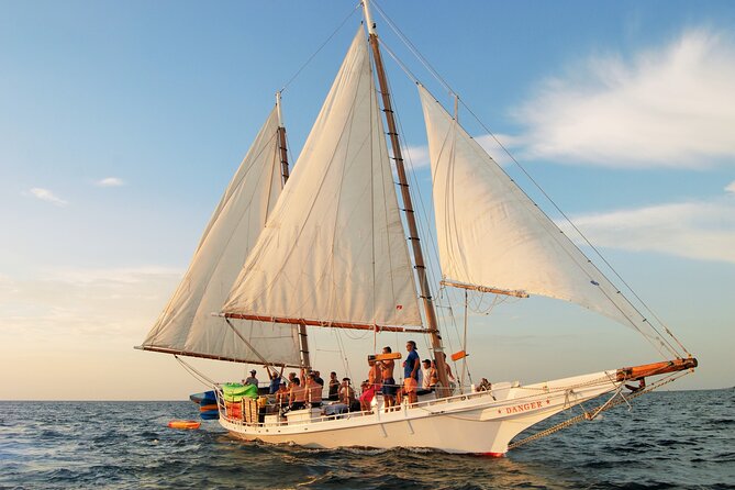 Half-Day Morning Trip from Key West with Kayaking and Snorkeling - The Sum Up