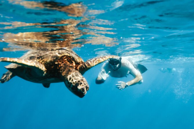 Hawaii Snorkeling With Turtles Boat Tour in Waikiki - Marine Conservation and Local Environment