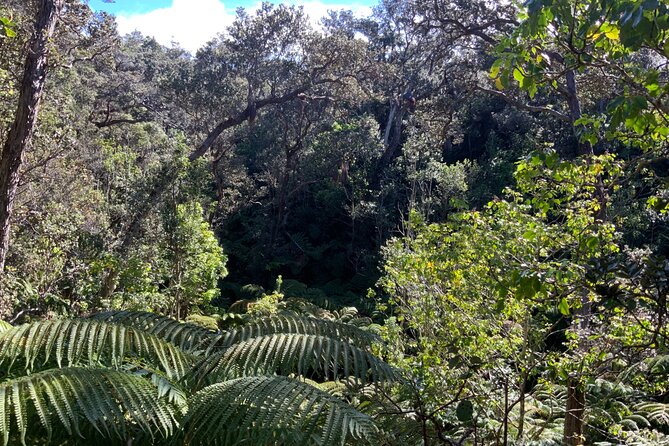 Hawaiis Volcanoes National Park From Hilo Only - Exploring the Big Island Beyond the Park