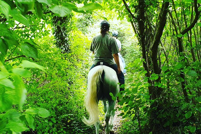 Horseback Riding In Bled - Capturing the Beauty Through Photography