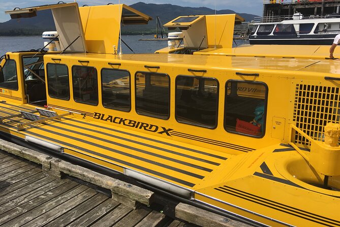 Hovercraft Eco Adventure and Wildlife Viewing - Pricing and Booking Information