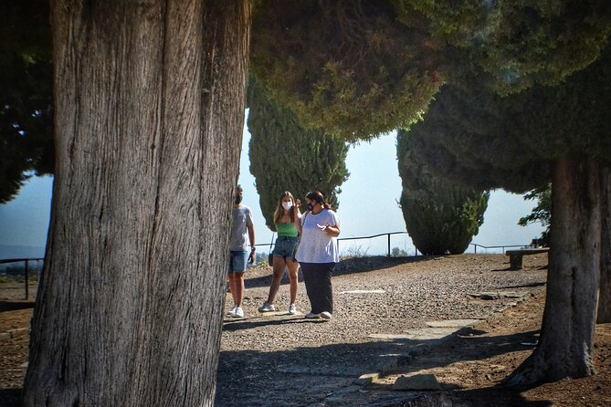 Italica 2-Hour Private Guided Tour - Booking Information and Cancellation Policy
