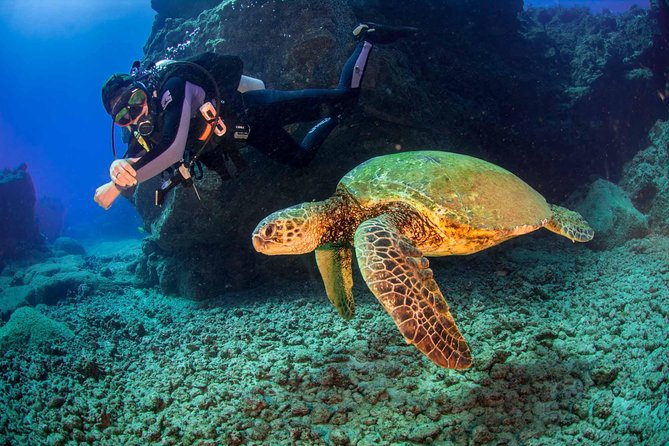 Kauais Ultimate South Shore 2 Tank Dive (Certified Divers Only) - Booking and Cancellation Policy