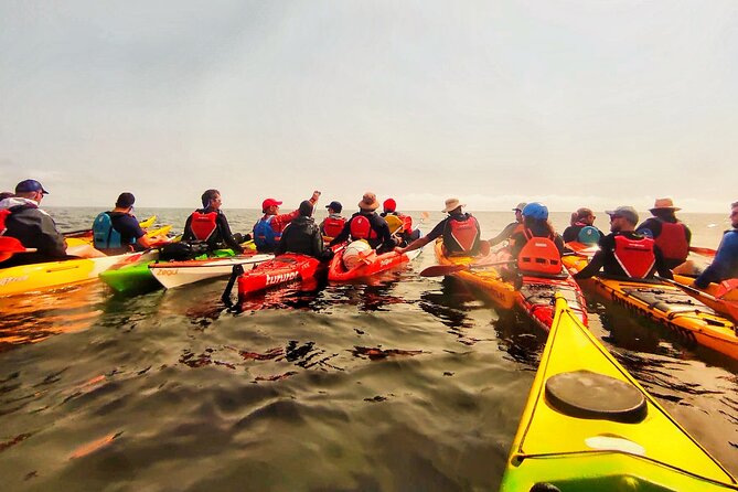 Kayak Excursion to Cova Dels Coloms From Platja Mascarat - How to Prepare for the Kayak Excursion