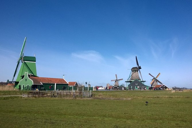 Keukenhofs Tulips and Windmills Small-Group Tour From Amsterdam - Experiencing Dutch Culture and Traditions