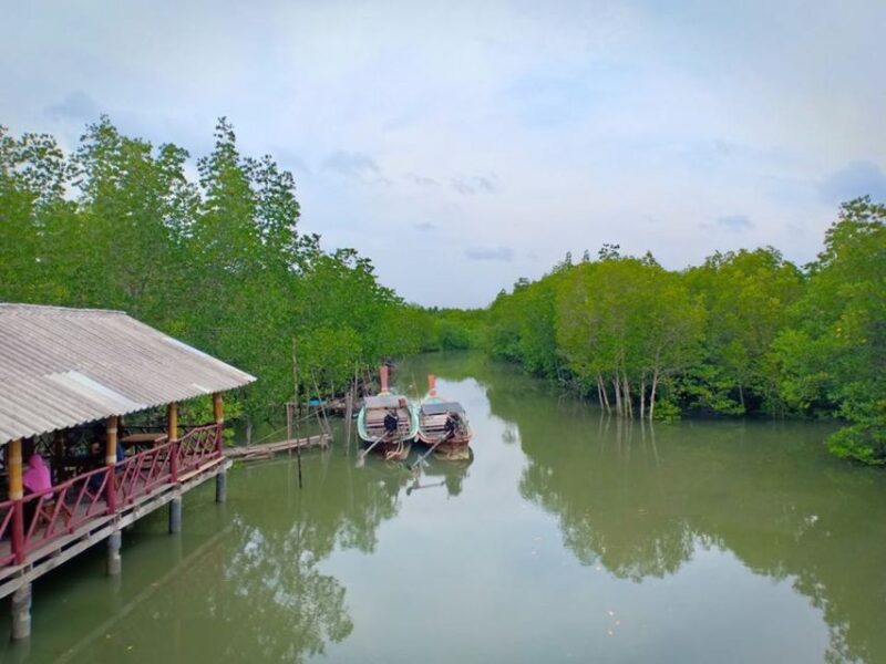 Ko Lanta: Mangrove Forest Boat Tour with Lunch or Dinner - Who Will Love This Tour?