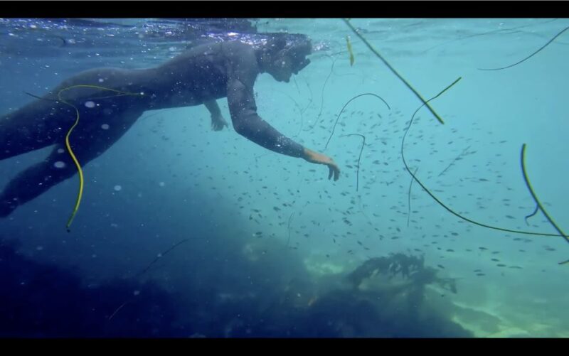 La Jolla: 2.5-Hour Kayak and Snorkel Tour - What This Tour Means for Different Travelers