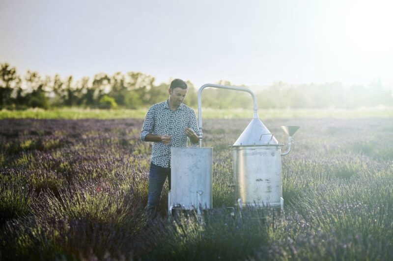 Lavender Field & Distillery Tour Between Nimes & Arles - Discovering the Distillation Process