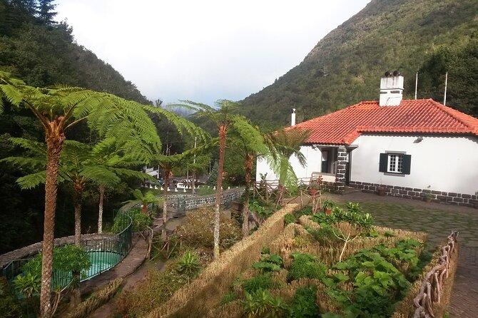 Levada Walk From Ribeiro Frio to Portela - Panoramic Views Along the Trail