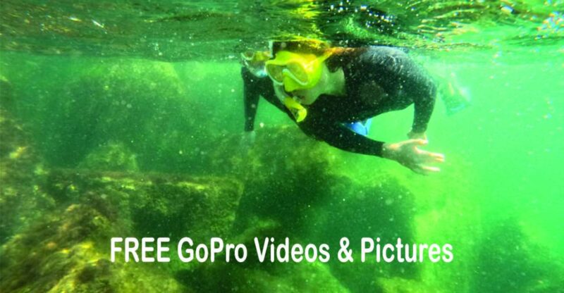 Lower Grand Lagoon: Panama City Beach Guided Snorkeling Tour - Detailed Itinerary Breakdown
