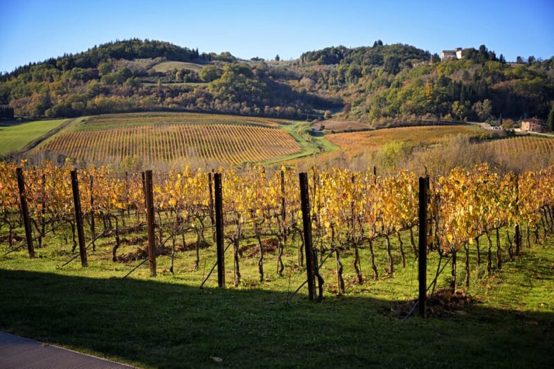 Magic Tuscany Tour - Sunset Views at Baccoleno Hotel
