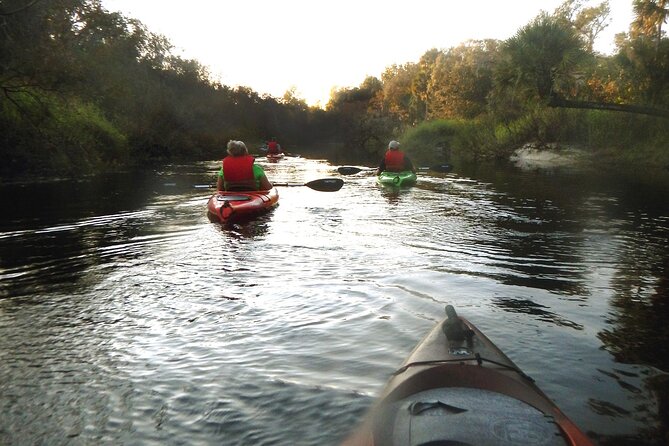 Manatees/Sunset/Bioluminescence Tour - Preparation and Recommendations