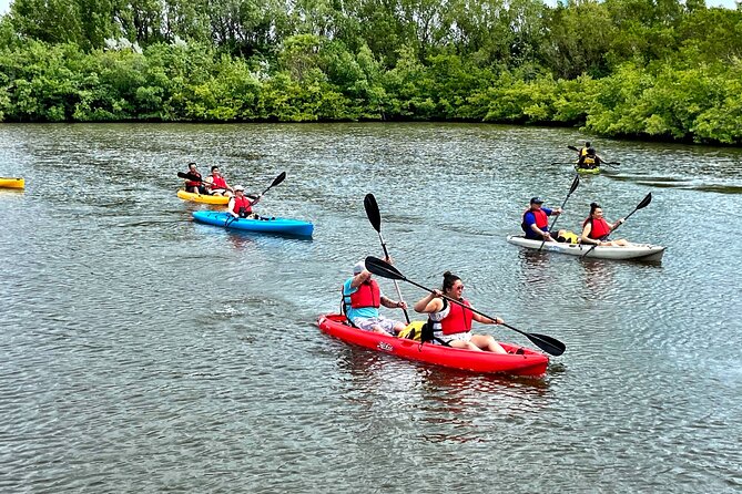 Mangrove Tunnel Kayak Eco Tour - Booking and Reservation Information