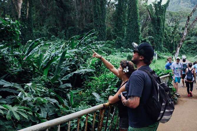 Manoa Waterfall Hike From Waikiki With Healthy Lunch Included - Scenic Views and Photography Opportunities