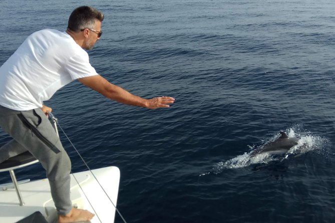 Marbella Small Group Catamaran With Dolphin Watching - Meet the Crew and Explore Marbellas Coastline