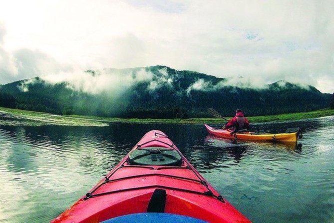 Mendenhall Glacier View Sea Kayaking - Weathering Cancellations