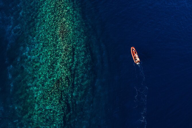 Molokini Crater and South Maui Coast Adventure from Kihei - Final Thoughts