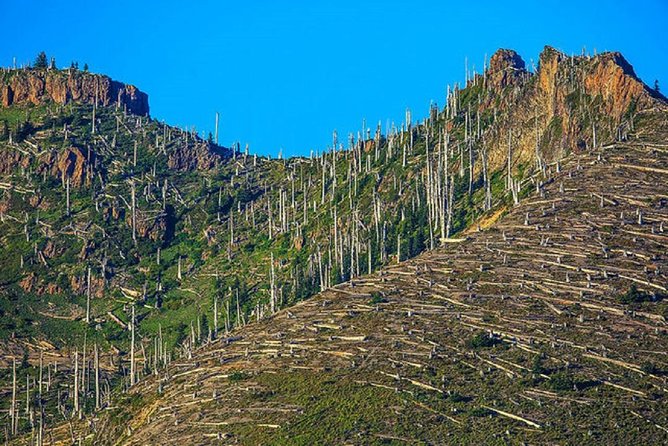 Mt. St. Helens National Monument From Seattle: All-Inclusive Small-Group Tour - Traveler Experiences and Feedback