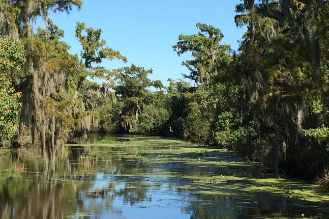 New Orleans City/Cemetery and Swamp Full-Day Tour - Booking and Cancellation Policy