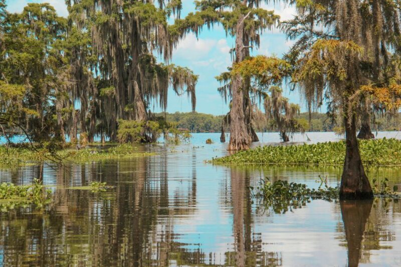 New Orleans: High Speed 9 Passenger Airboat Tour - In Closing