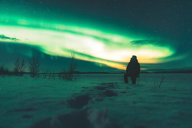 Northern Lights Photo Expedition Dinner Included From Abisko - Booking and Cancellation Policy