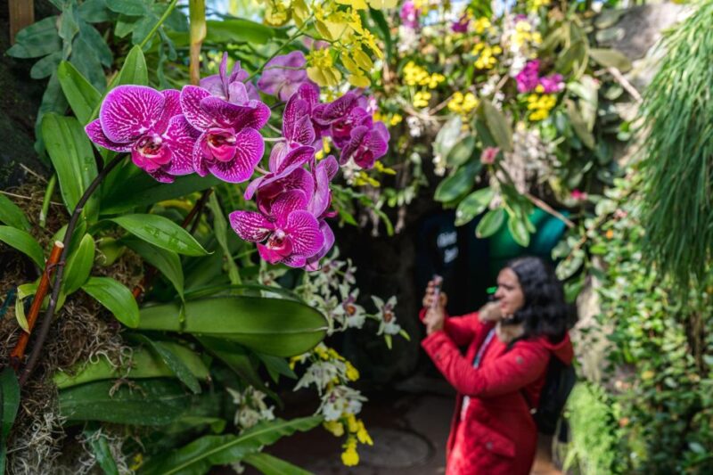 NYC: New York Botanical Garden Pass with Orchid Show Option - FAQ
