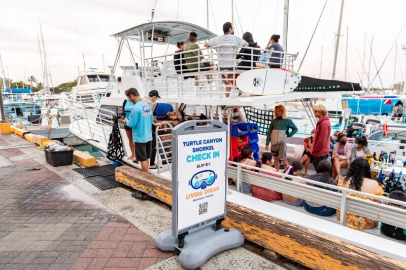 Oahu: Waikiki Turtle Canyons Cruise and Snorkel Excursion - The Sum Up