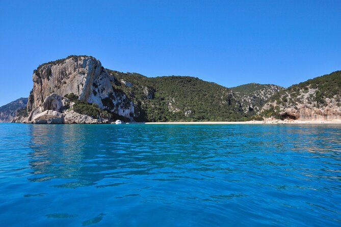 One Day Tour in Rubber Dinghy in the Gulf of Orosei With Skipper - The Sum Up
