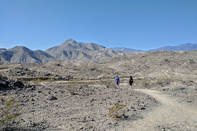 Palm Springs Hike to an Oasis and Amazing Desert Views - Capturing the Memories