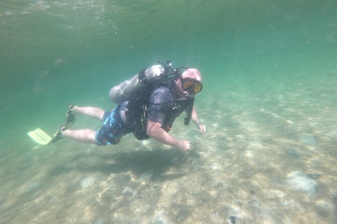 Panama City Scuba Diving Activity for Beginners - Visitor Impressions