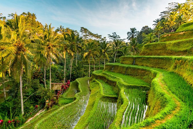 Penglipuran Traditional Village Tour with Swing, Rice Terrace, and Temple - Final Thoughts