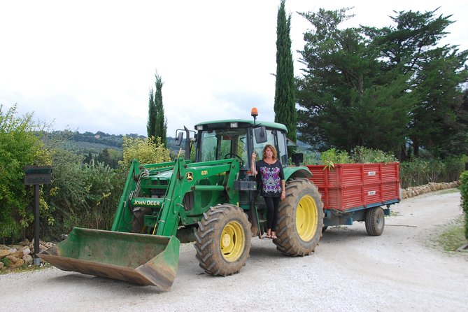 Pienza, Val Dorcia, Montalcino Wine and Pecorino Cheese PRIVATE TOUR From SIENA - Traveler Reviews and Feedback