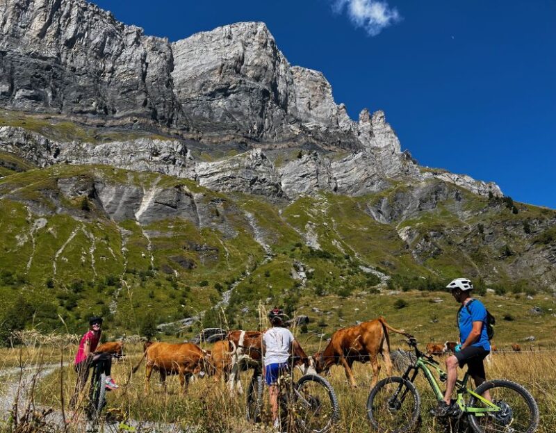 Point of View on the Glaciers of Chamonix by Ebike - Appreciating the Valleys Rich History