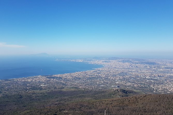 Pompeii and Vesuvius Day Trip From Naples With Skip the Line - Alternative Sightseeing Options