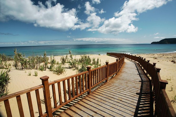 Porto Santo One-Day Cruise and Tour - Key Considerations for Booking