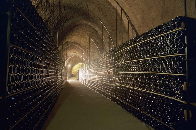 Premium Ribera Del Duero Tour With Winemaker-Guide - Traveler Reviews and Feedback