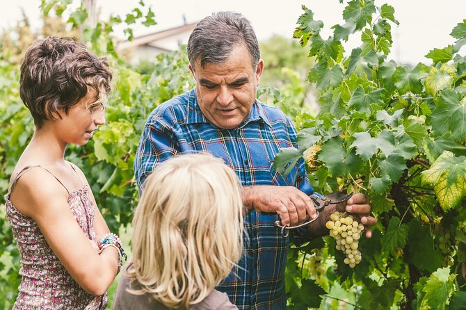 Private Frascati Day Trip With Lunch & Wine Tasting in a Vineyard - Meeting and Departure Information