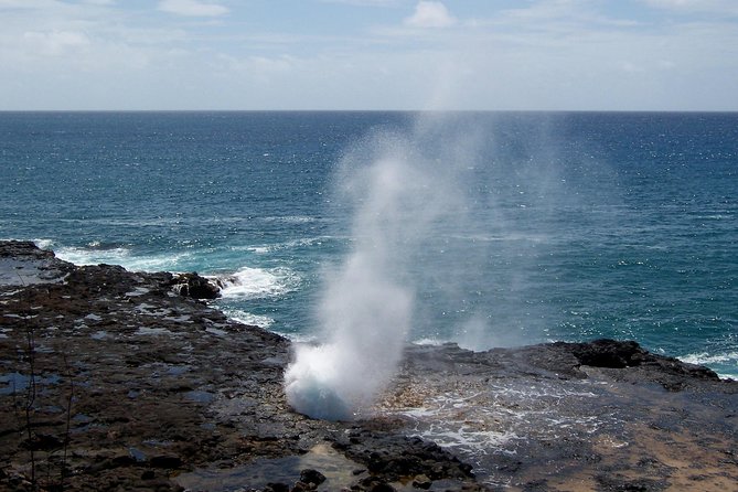 Private Luxury Tour of Kauai: South & West Shores - Encountering Wildlife Reserves