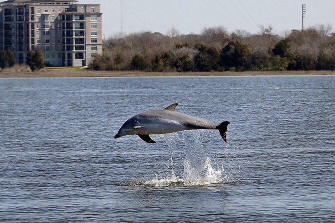 Private Morning Sailing/Dolphin & History Tours on Mystique - Frequently Asked Questions