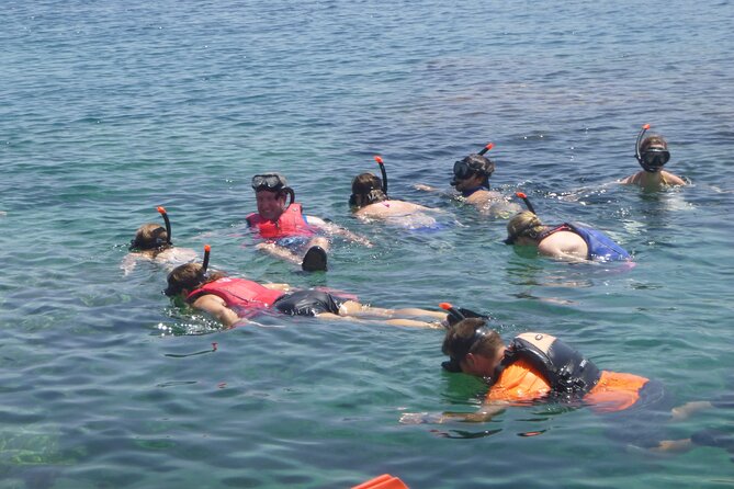 Private Mykonos Nature Tour by Minibus - Booking and Logistics