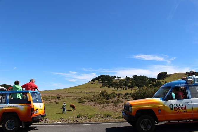 Private Small Group Full Day 4x4 Tour in Northwest Madeira - What to Expect on the Tour