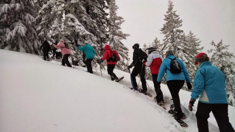 Private Snowshoeing Full Day - Experience a Serene Escape in a Stunning Winter Landscape