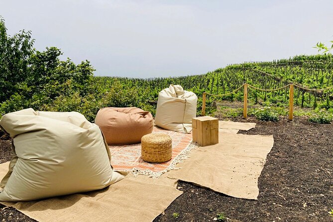 Private Wine and Food Tasting Immersed in Nature in Milo - Indulging in Sicilian Culinary Delights