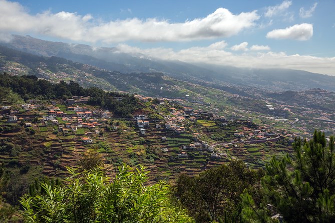 Real Life, Mountains & Sea Cliffs + Lunch + Levada Walk - 6 Hours - The Sum Up